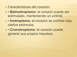 El Corazón Humano | PPTX