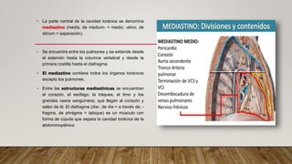CAVIDADES CORPORALES.pptx