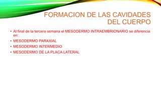 Cavidades corporales embriologia | PPTX