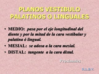 Cavidades dentales | PDF