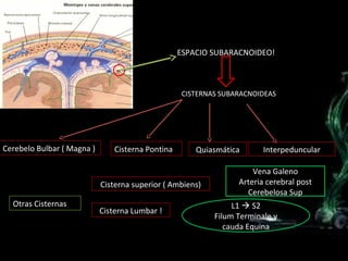 Cavidades ventriculares y Liquido cefalorraquideo LCR | PPT