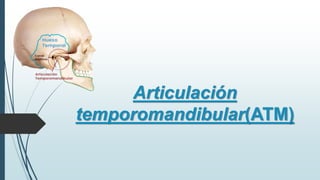 Cavidades y fosas comunes de craneo y cara y ATM.pptx