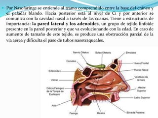 Cavidad Faríngea Nasofaringe y Orofaringe | PPTX