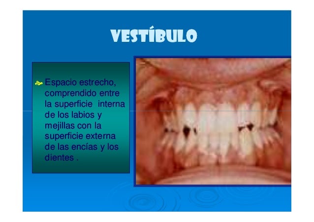 Cavidad oral