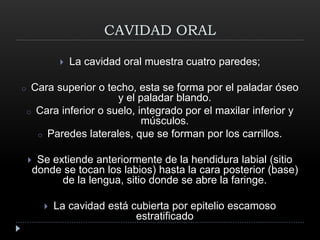 Cavidad oral | PPTX