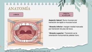 CAVIDAD ORAL Neoplasias malignas.pptx