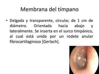 Cavidad tímpanica | PPTX