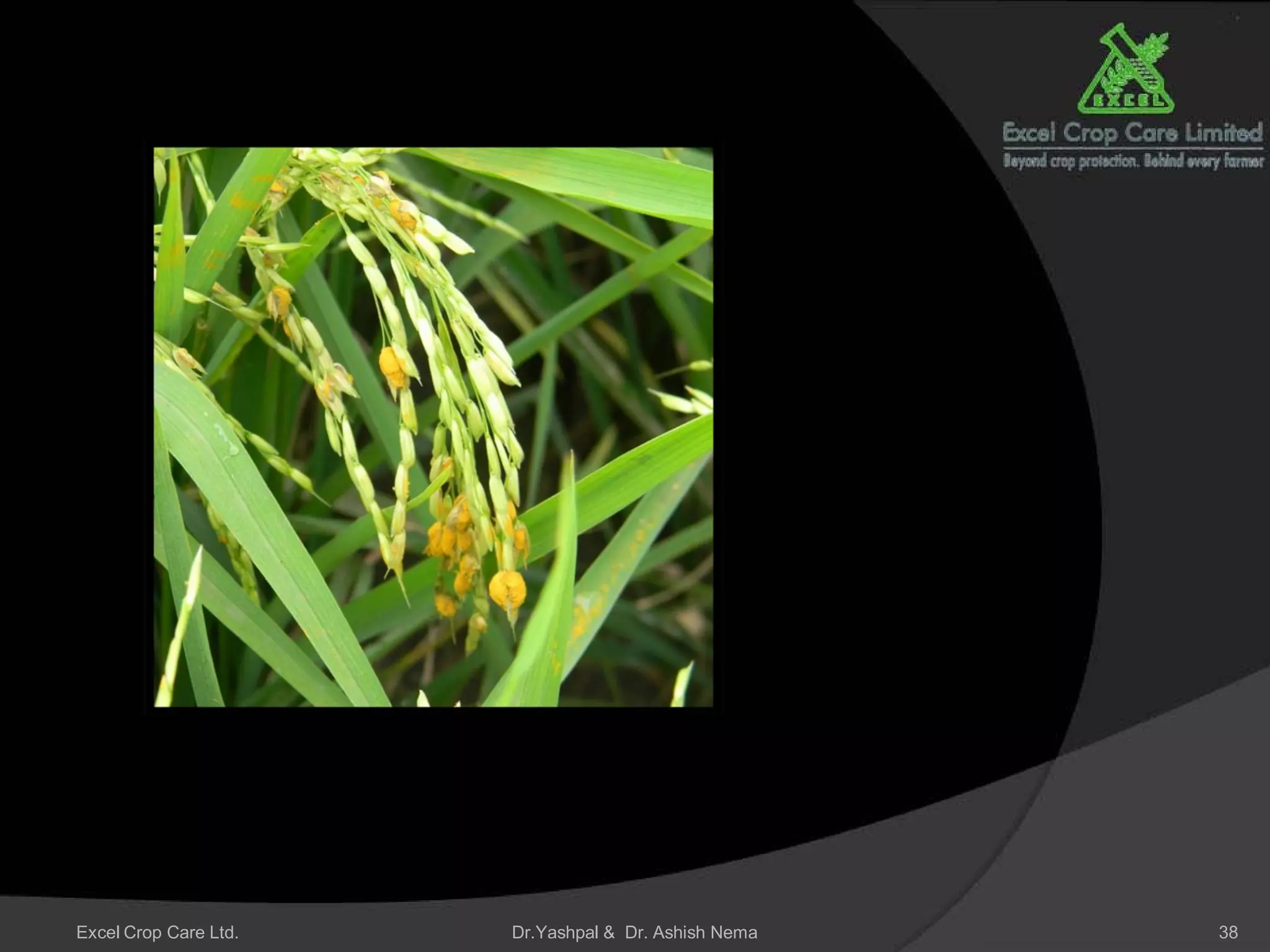 Caviet PPT Dealer- marathi-1 (1).pdf