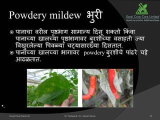 Caviet PPT Dealer- marathi-1 (1).pdf
