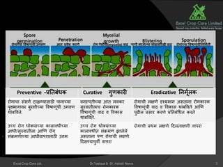 Caviet PPT Dealer- marathi-1 (1).pdf