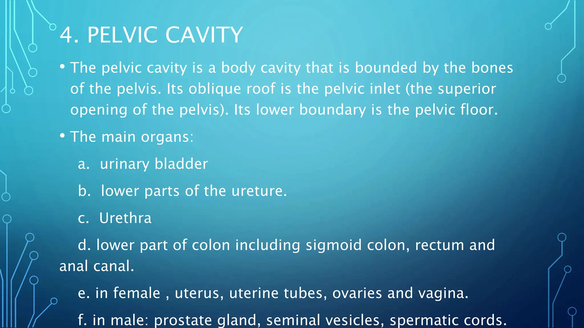 Cavities of the body.pptx