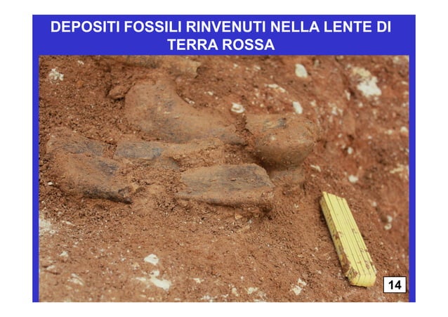 Imprevisto ritrovamento di una singolare cavità durante i lavori di consolidamento del costone ...