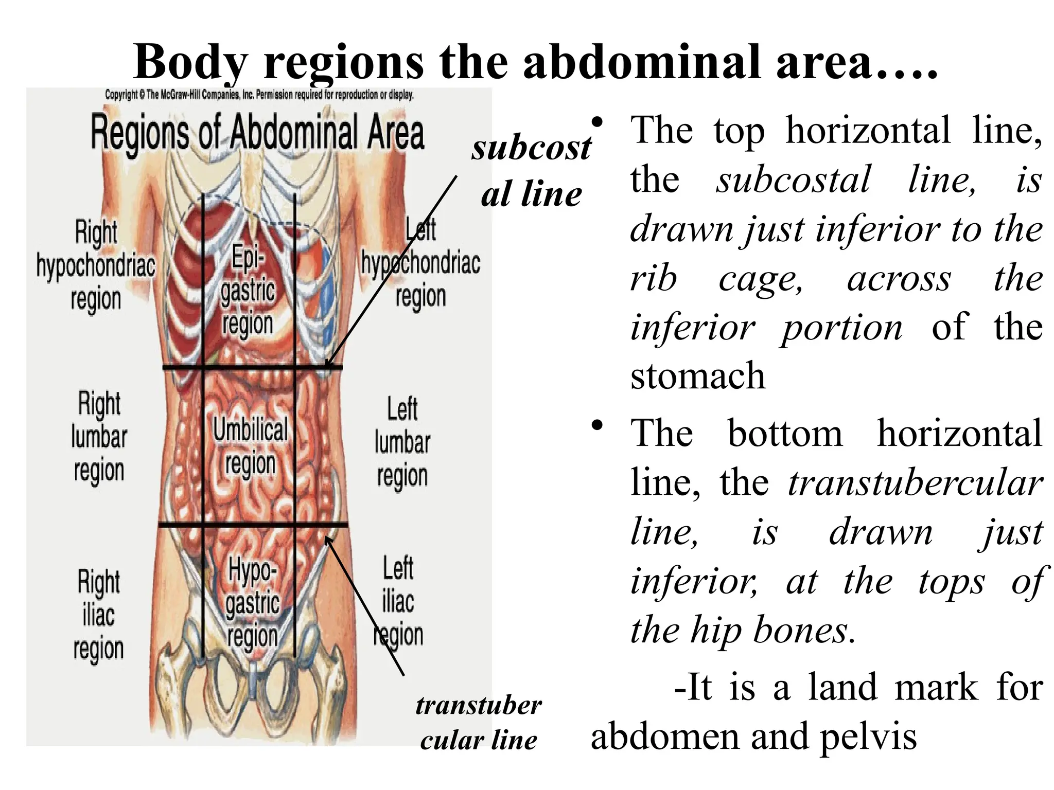 Cavity%20and%20membrane.pptx by madebo ergano | PPTX