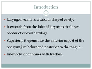 Cavity of larynx | PPTX