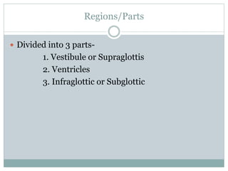 Cavity of larynx | PPTX