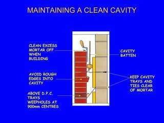 Cavity walling ppoint | PPT