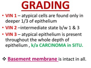Carcinoma VULVA | PPTX