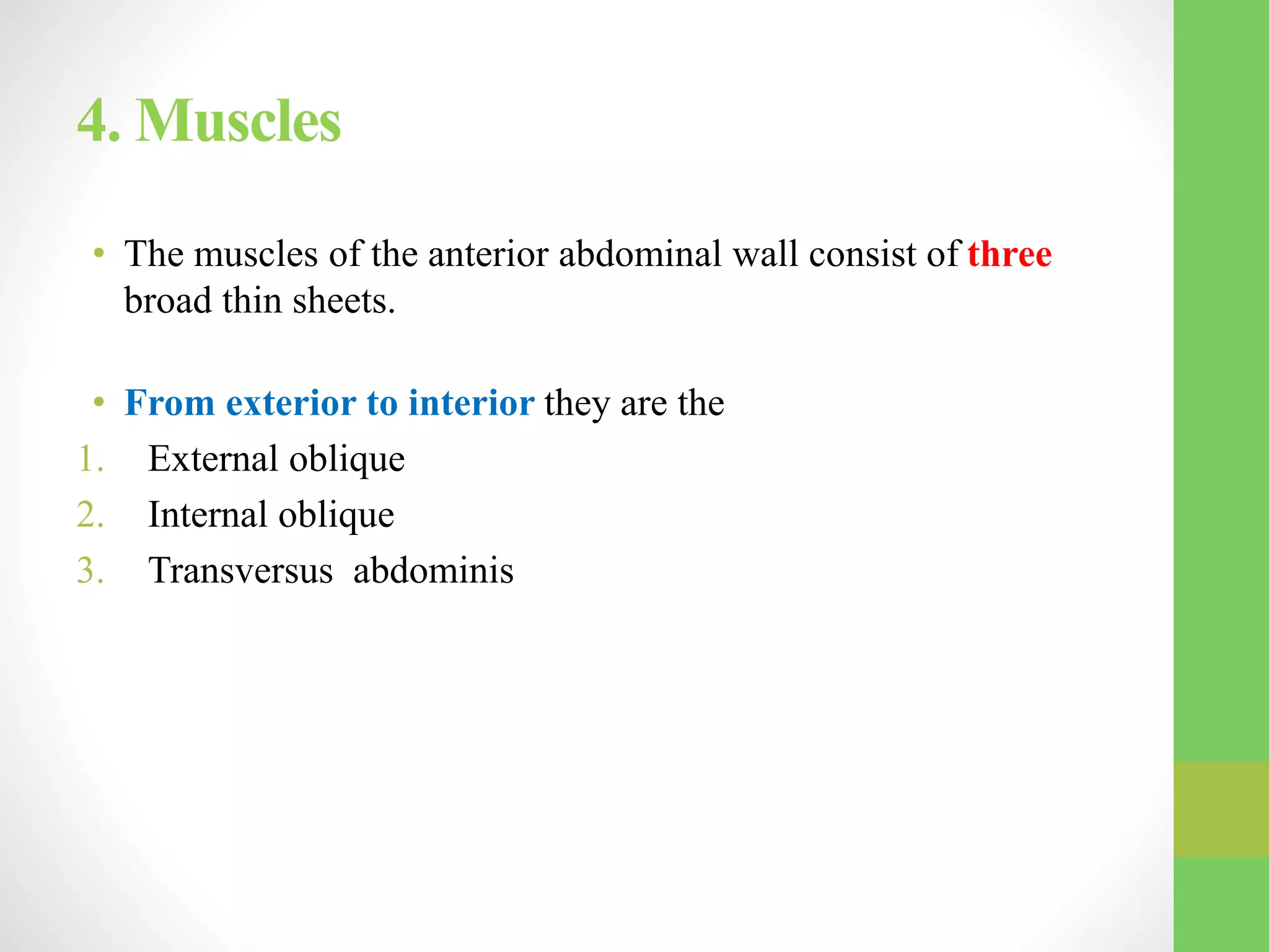 Cavum Abdomen _ Peritoneum .pptx