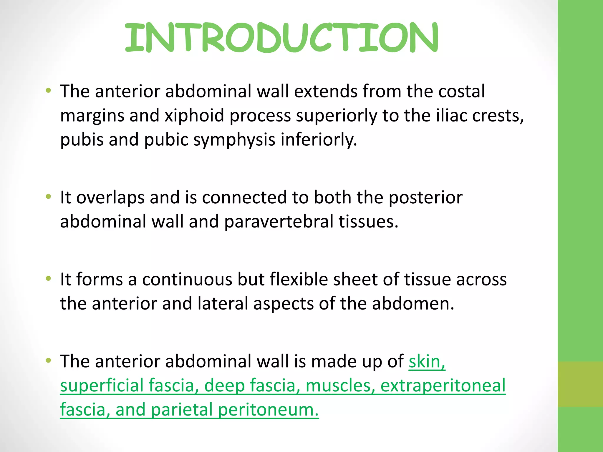 Cavum Abdomen _ Peritoneum .pptx