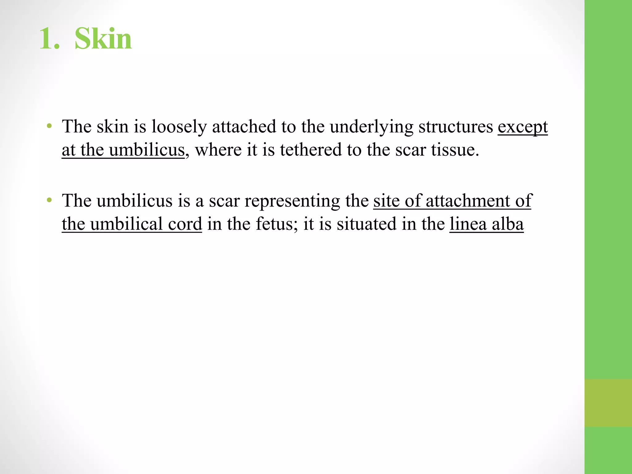 Cavum Abdomen _ Peritoneum .pptx