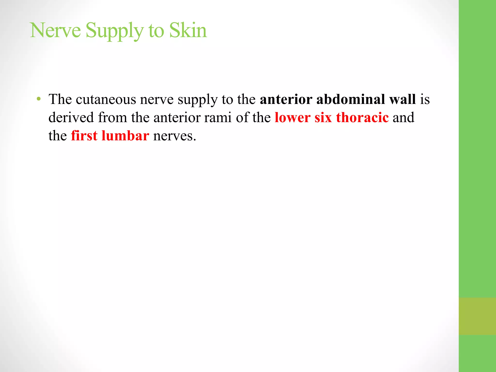 Cavum Abdomen _ Peritoneum .pptx