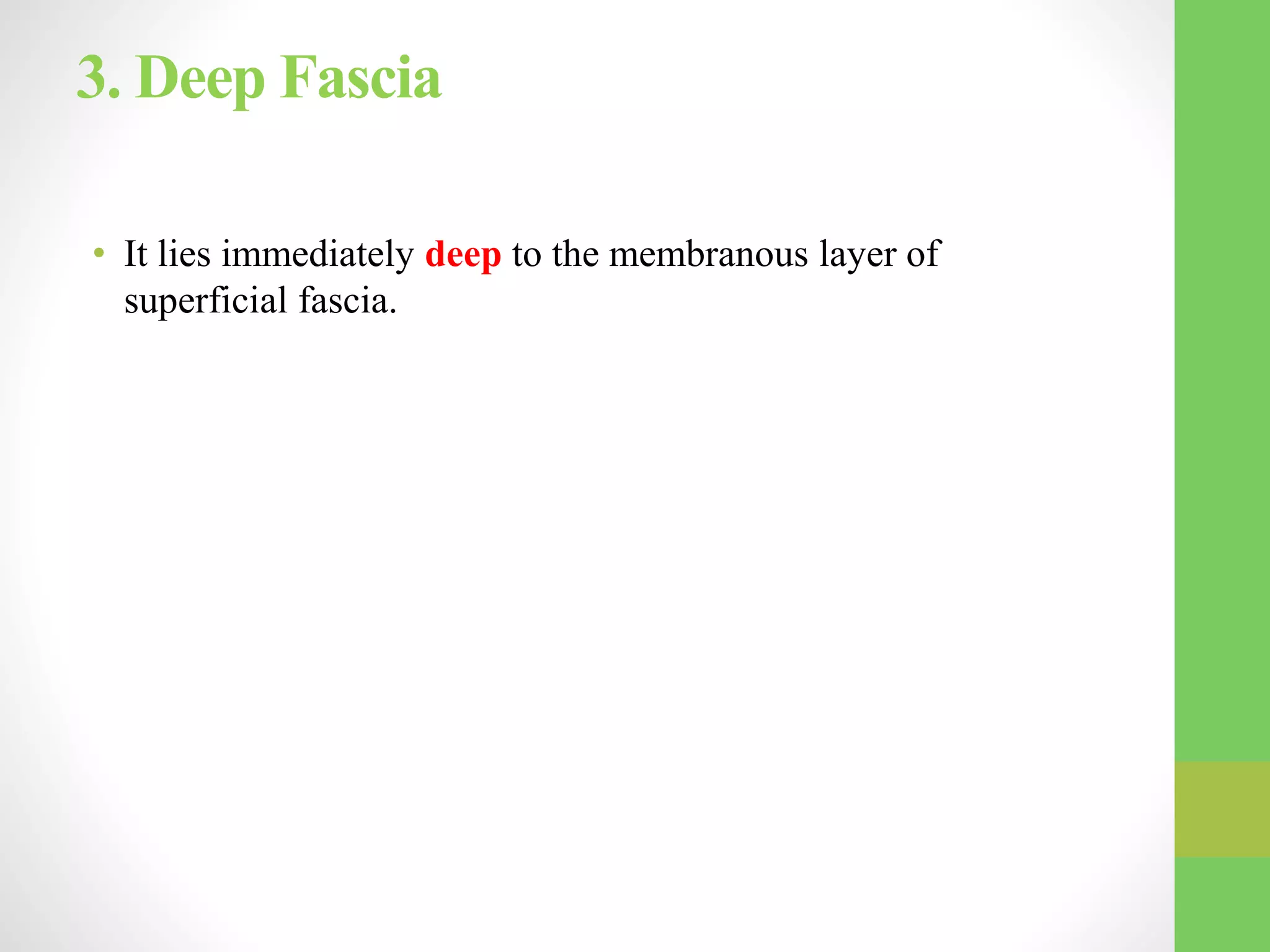 Cavum Abdomen _ Peritoneum .pptx