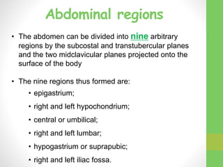 Cavum Abdomen _ Peritoneum .pptx