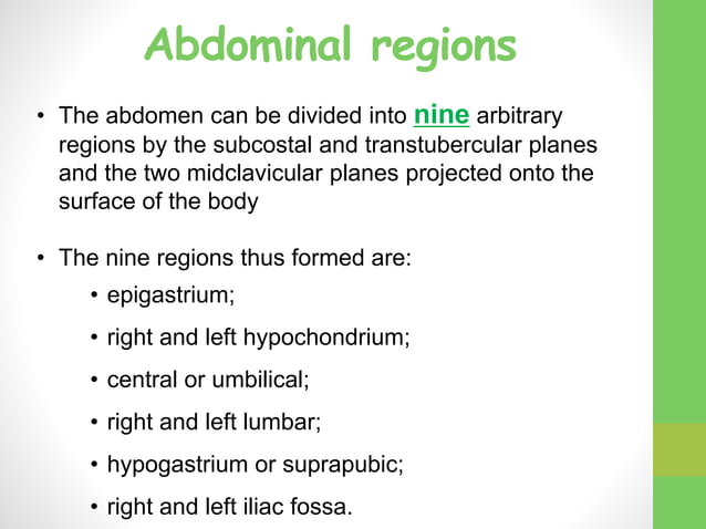 Cavum Abdomen _ Peritoneum .pptx