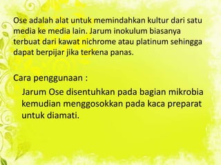 Cawan petri, jarum ose, spkulum | PPTX