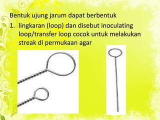 Cawan petri, jarum ose, spkulum | PPTX