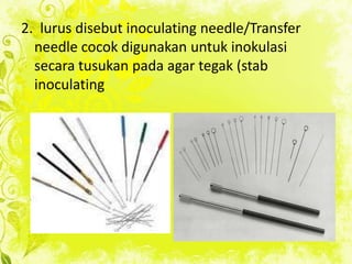 Cawan petri, jarum ose, spkulum | PPTX