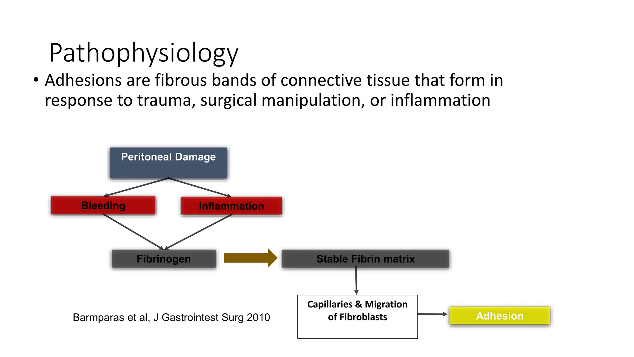 SMALL BOWELL OBSTRUCTION IN VIRGIN ABDOMEN.pptx