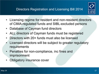 Cayman islands statement of guidance | PDF
