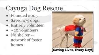 Cayuga Dog Rescue | PPT