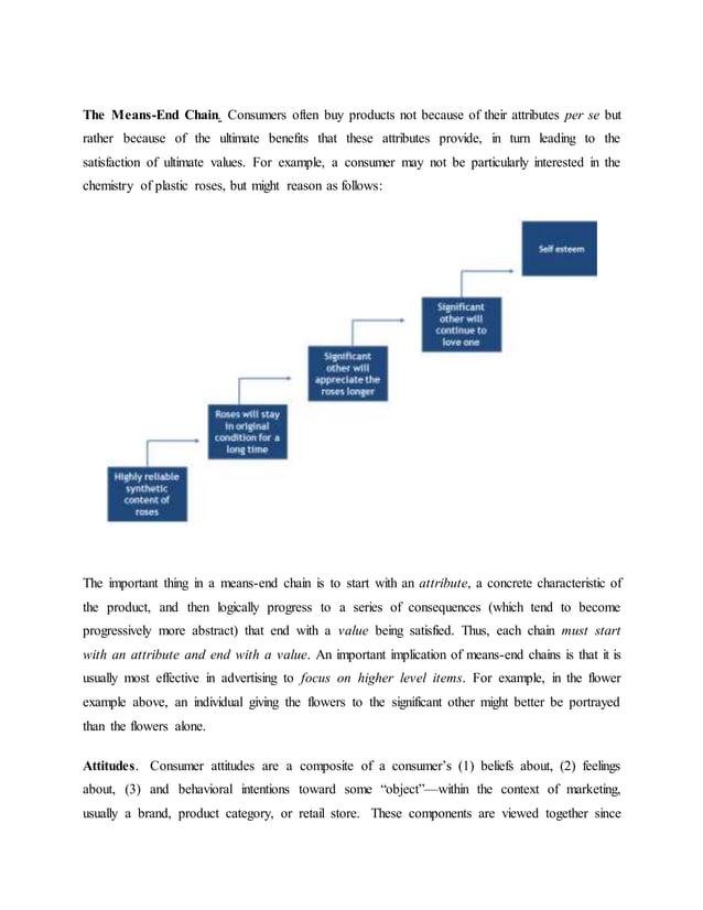 Consumer Behavior | PDF