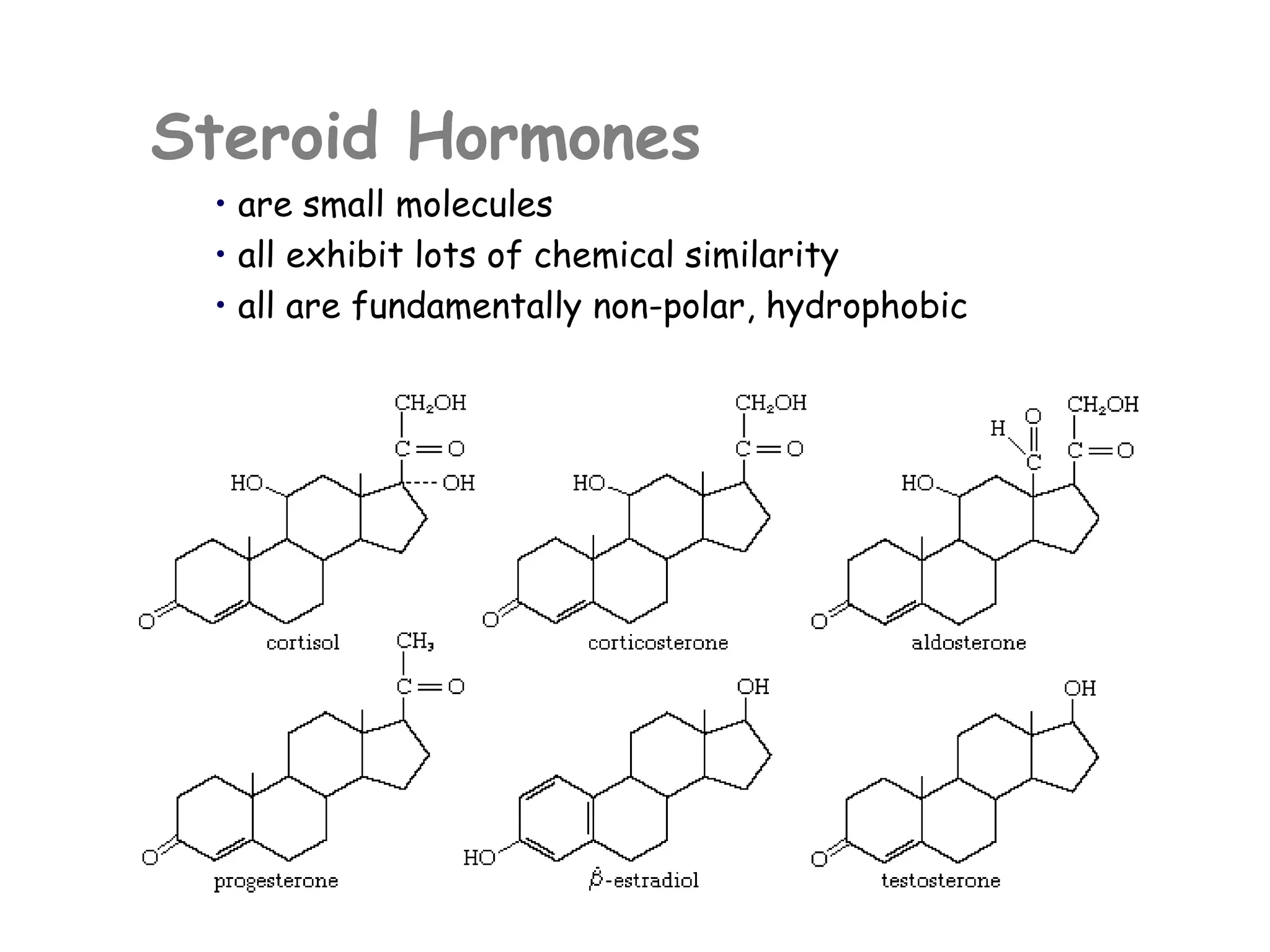 Classification , function of HORMONES in our body.pdf | Hormonal ...