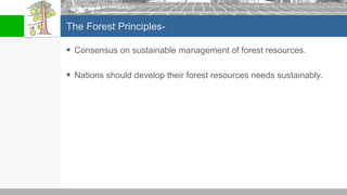 pptCLIMATE CHANGE CONFERENCES IN THE PAST FEW YEARS | PPT