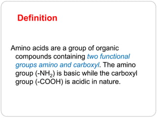 Amino Acid Definition
