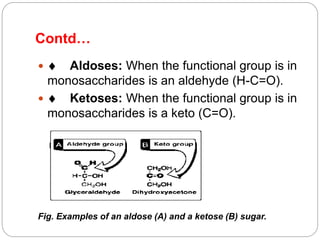 Basics of Carbohydrates Chemistry | PPT