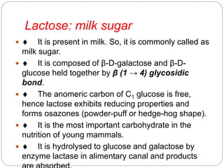Basics of Carbohydrates Chemistry | PPT