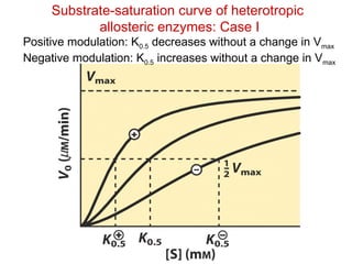 enzyme reaction on nuclic acid and proteian reaction | PPT