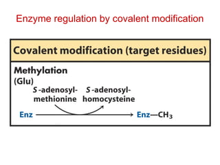 enzyme reaction on nuclic acid and proteian reaction | PPT