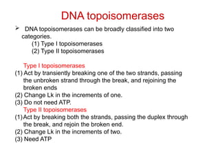DNA coiling around the DNA stands presentation.pptx