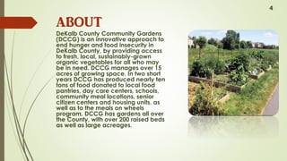 CLCE 302 DCCG Annual Report | PPT