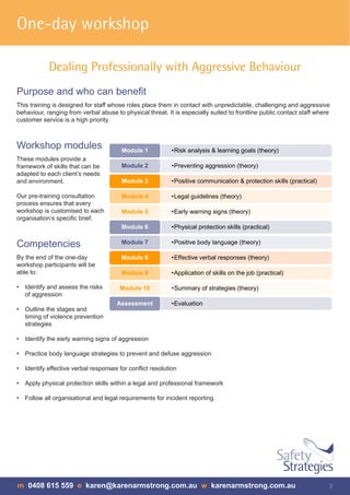 Safety Strategies Overview | PDF
