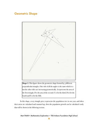 Maths Exploration | PDF