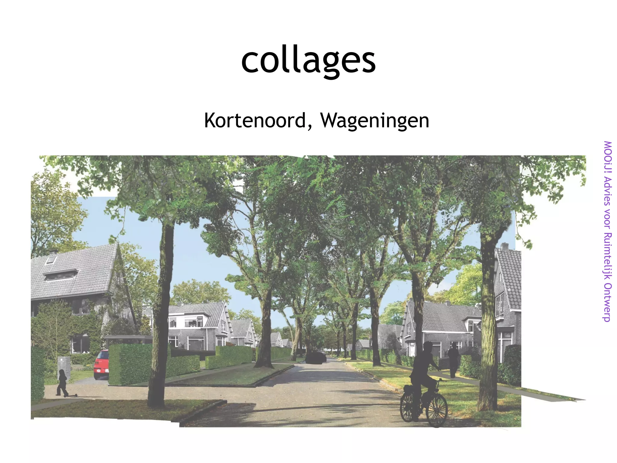 MOOIJ_portfolio visualisaties- | PDF
