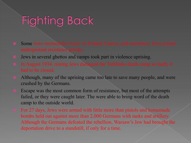 The Holocaust Notes | PPT