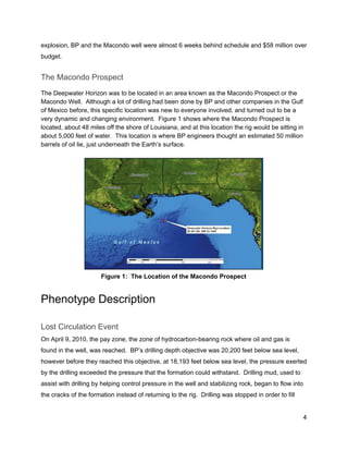 CaseStudyFinalReport.docx