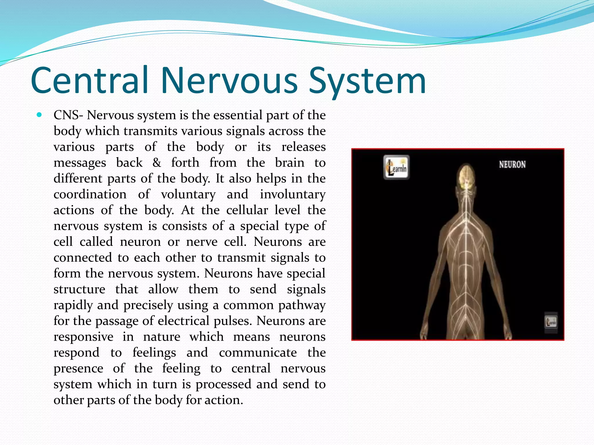 Electric & Magnetic Fields Exposure | PPT